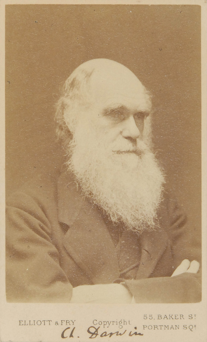 Charles Darwin | The 19th Century Rare Book and Photograph Shop